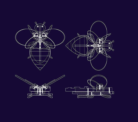 Design Process for an Educational Toy Bee – Eric Jacoby Design